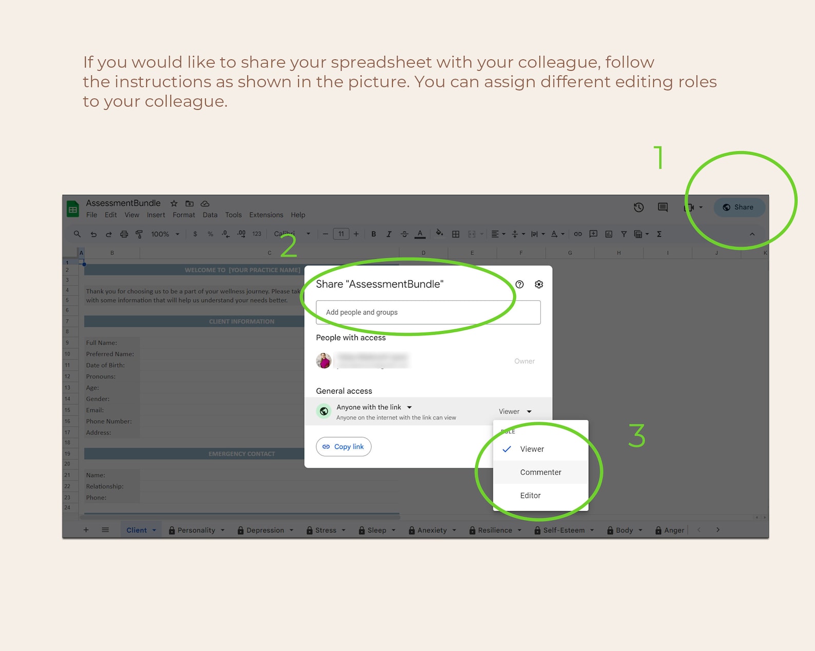 Mental Status Exam, MSE Spreadsheet, Mental Status Assessment ...