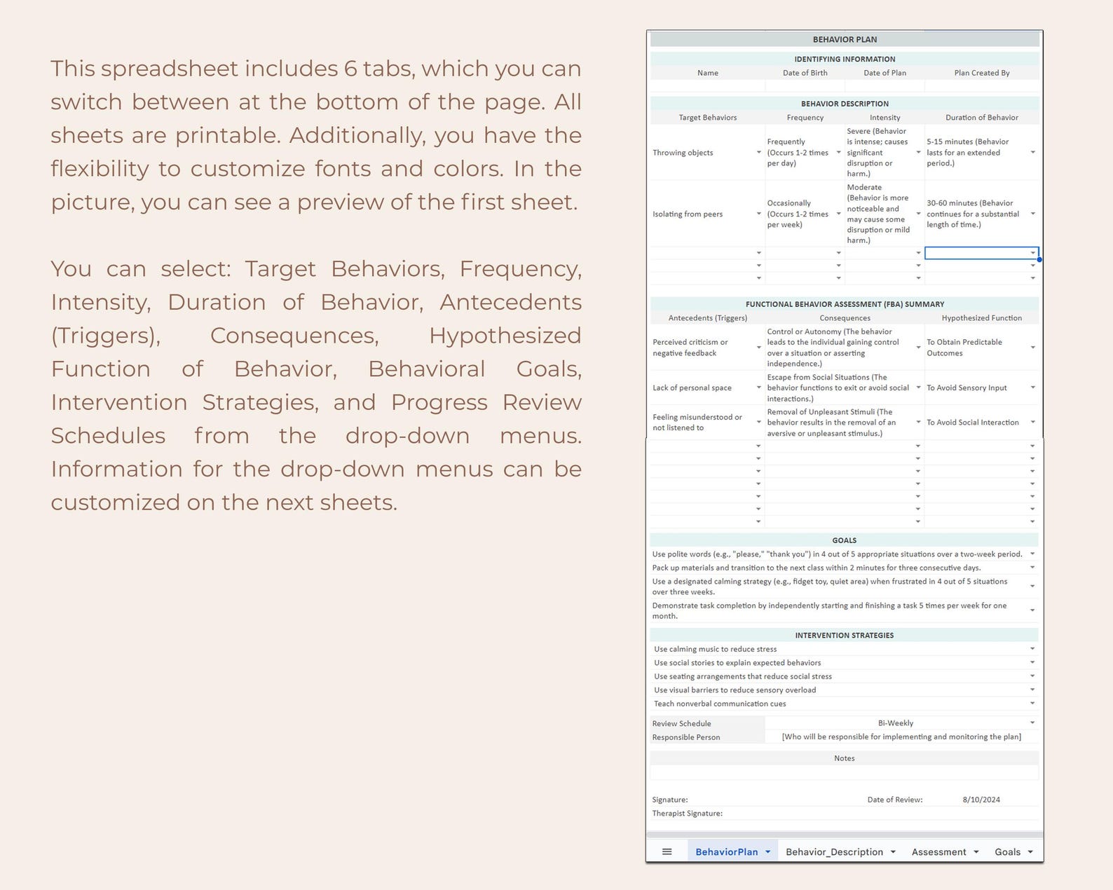 Behavior Intervention Plan, Behavior Plan, Behaviour Support Plan ...