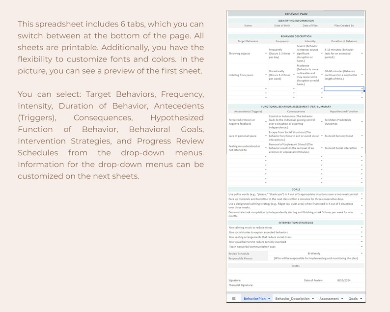 Behavior Plan Template Child Support Strategy Positive Interventions ...