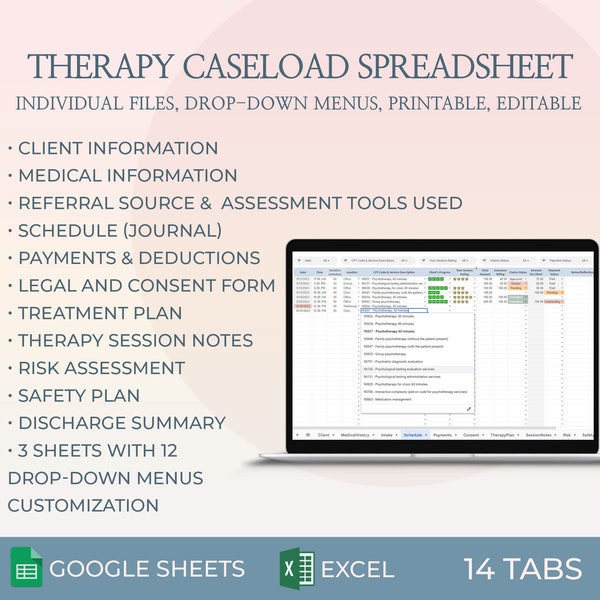 Caseload Spreadsheet - Etsy