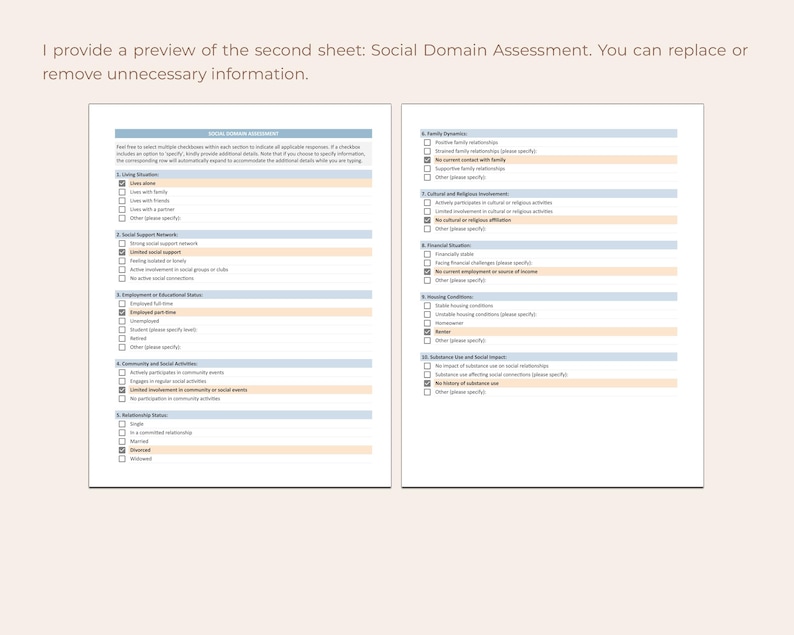 Social Work Need Assessment, Social Worker Form, Documents for Social ...