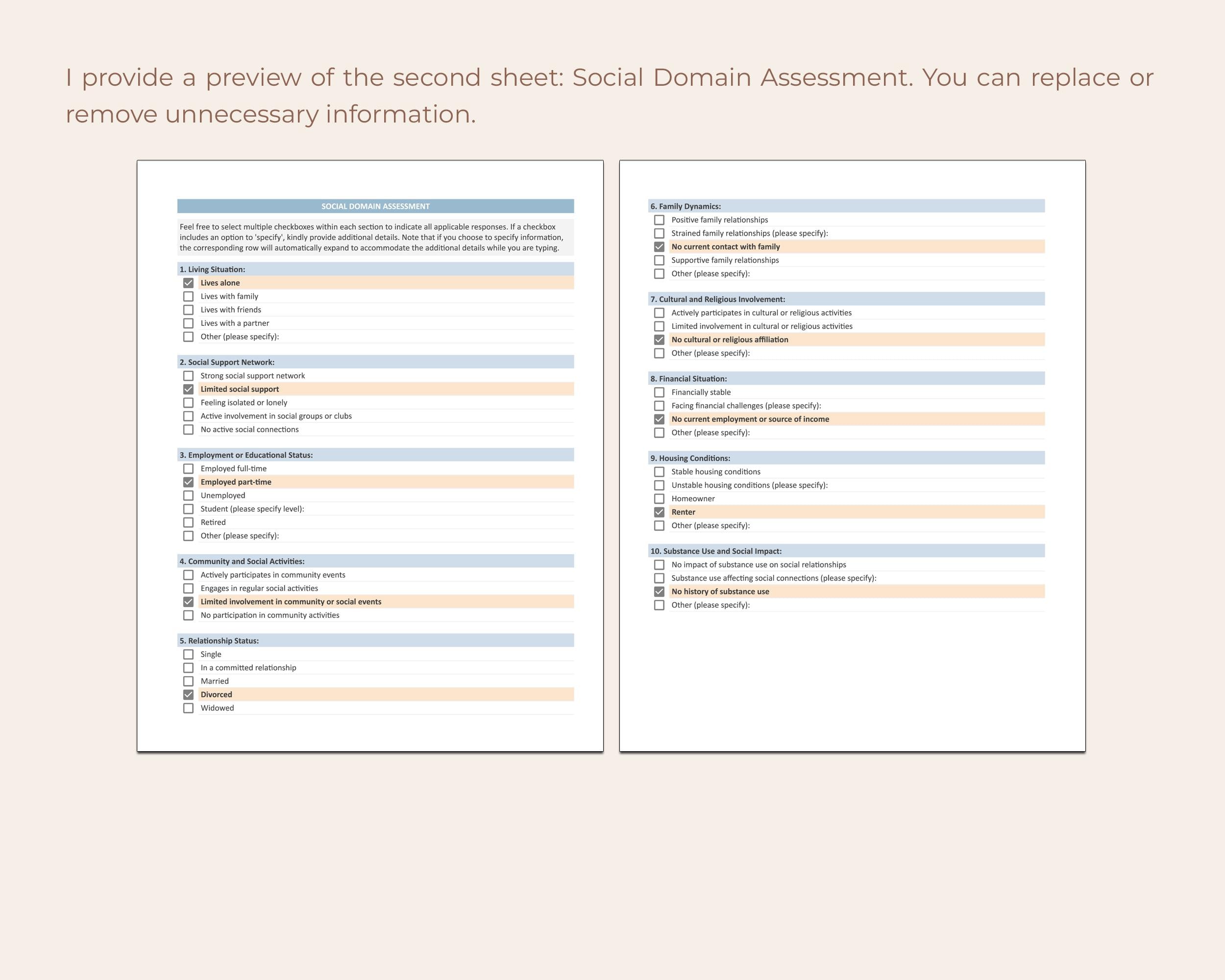 Social Work Need Assessment, Social Worker Form, Documents for Social ...