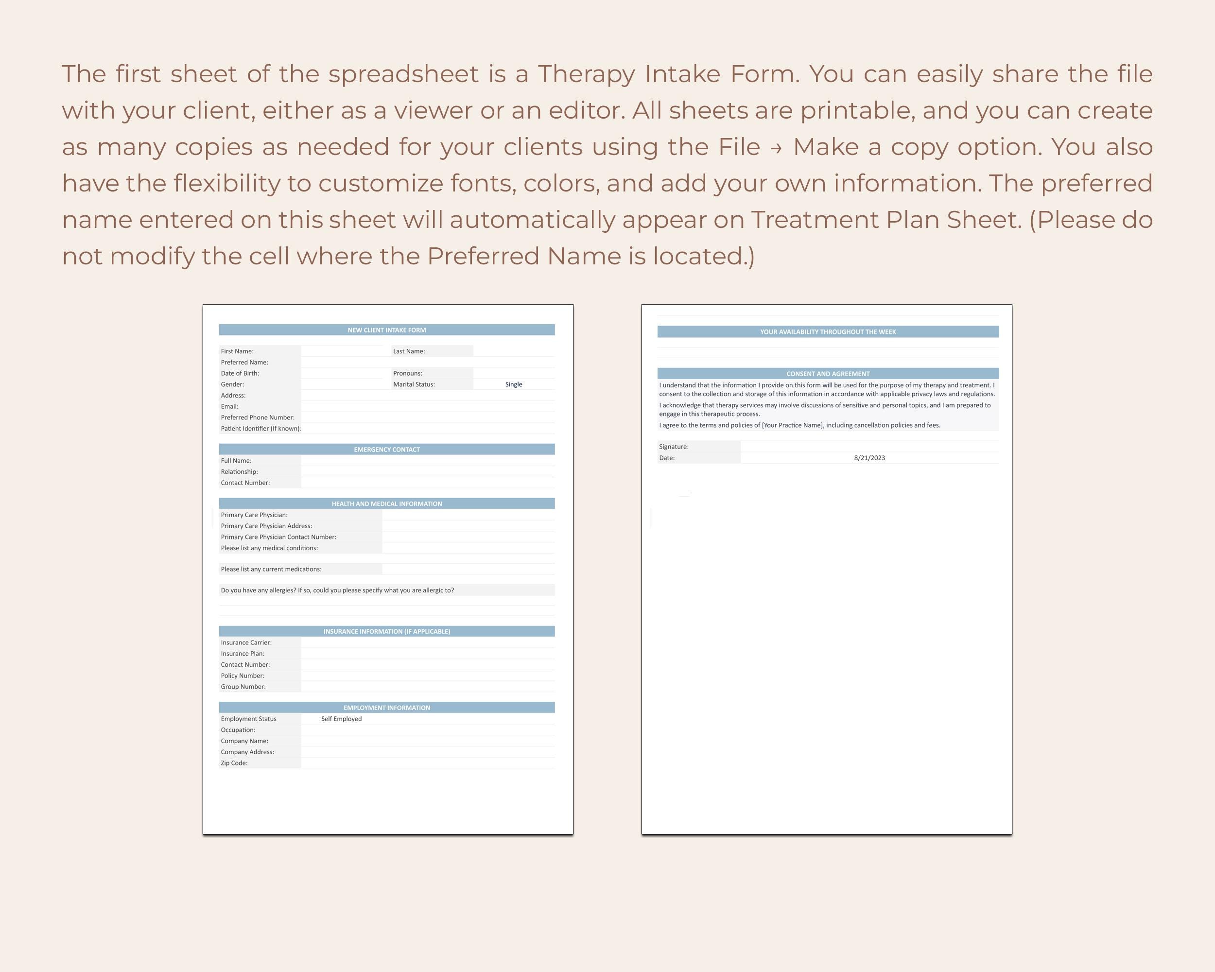 Substance Abuse Therapy Plan Template Addiction Recovery Planner for ...