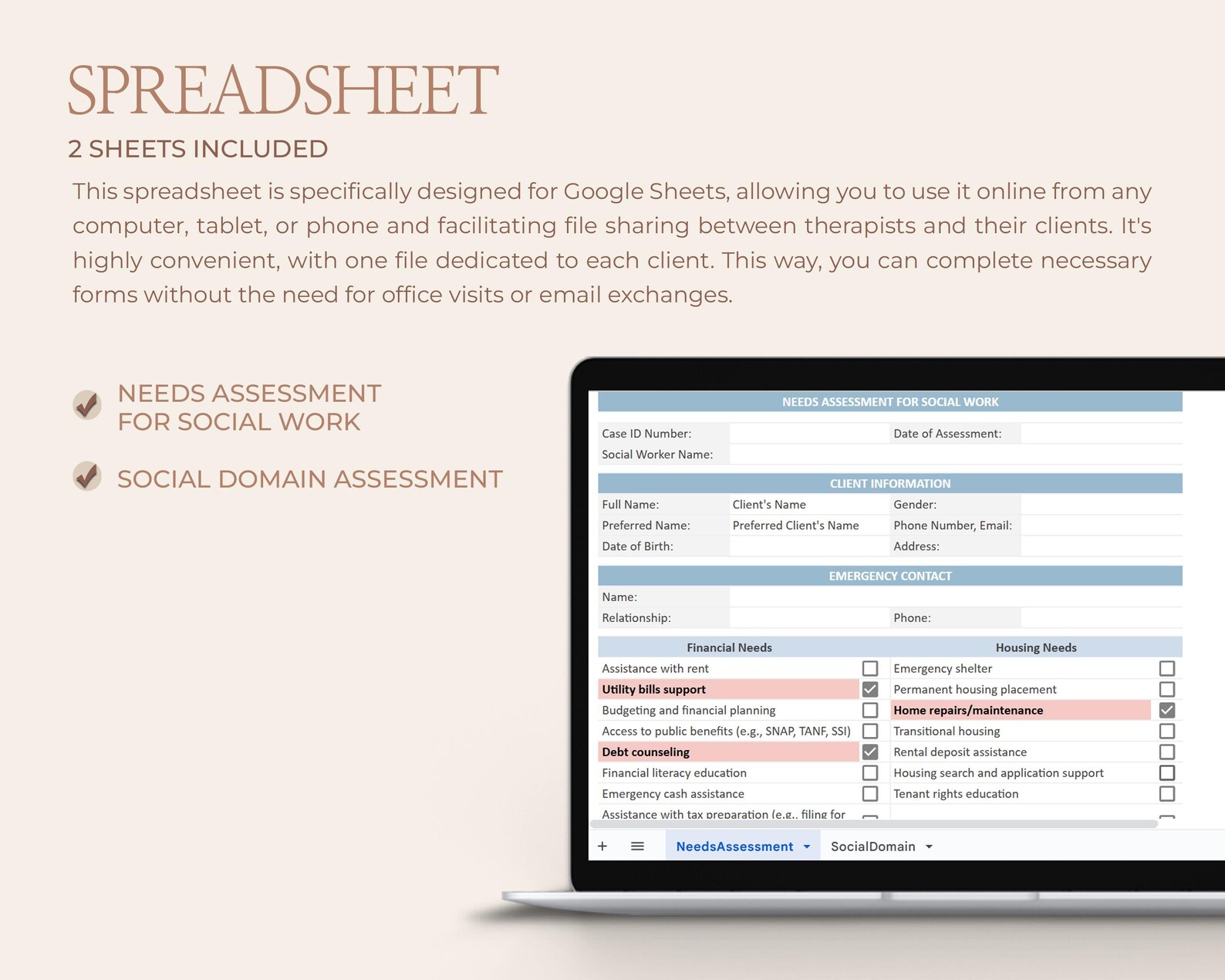 Social Work Need Assessment, Social Worker Form, Documents for Social ...