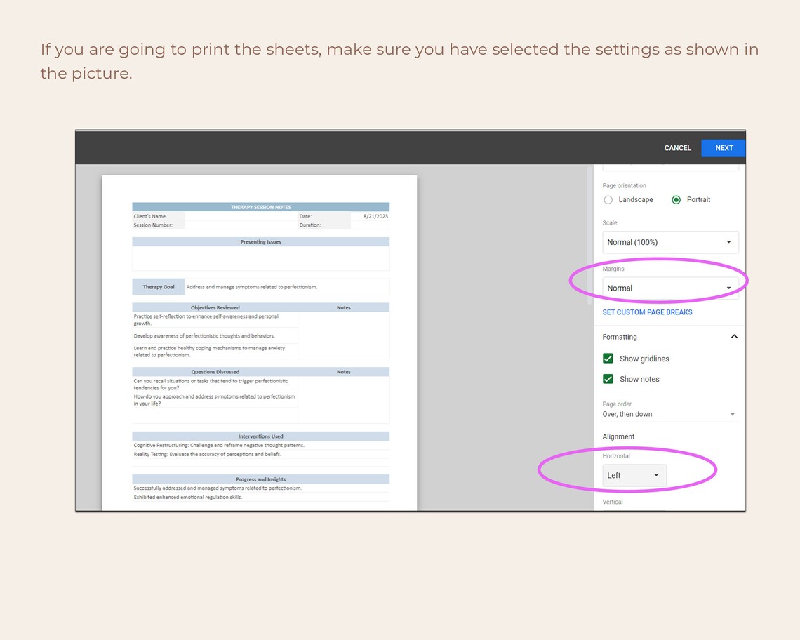 Therapy Goals Session Notes Template Treatment Objectives Intervention ...