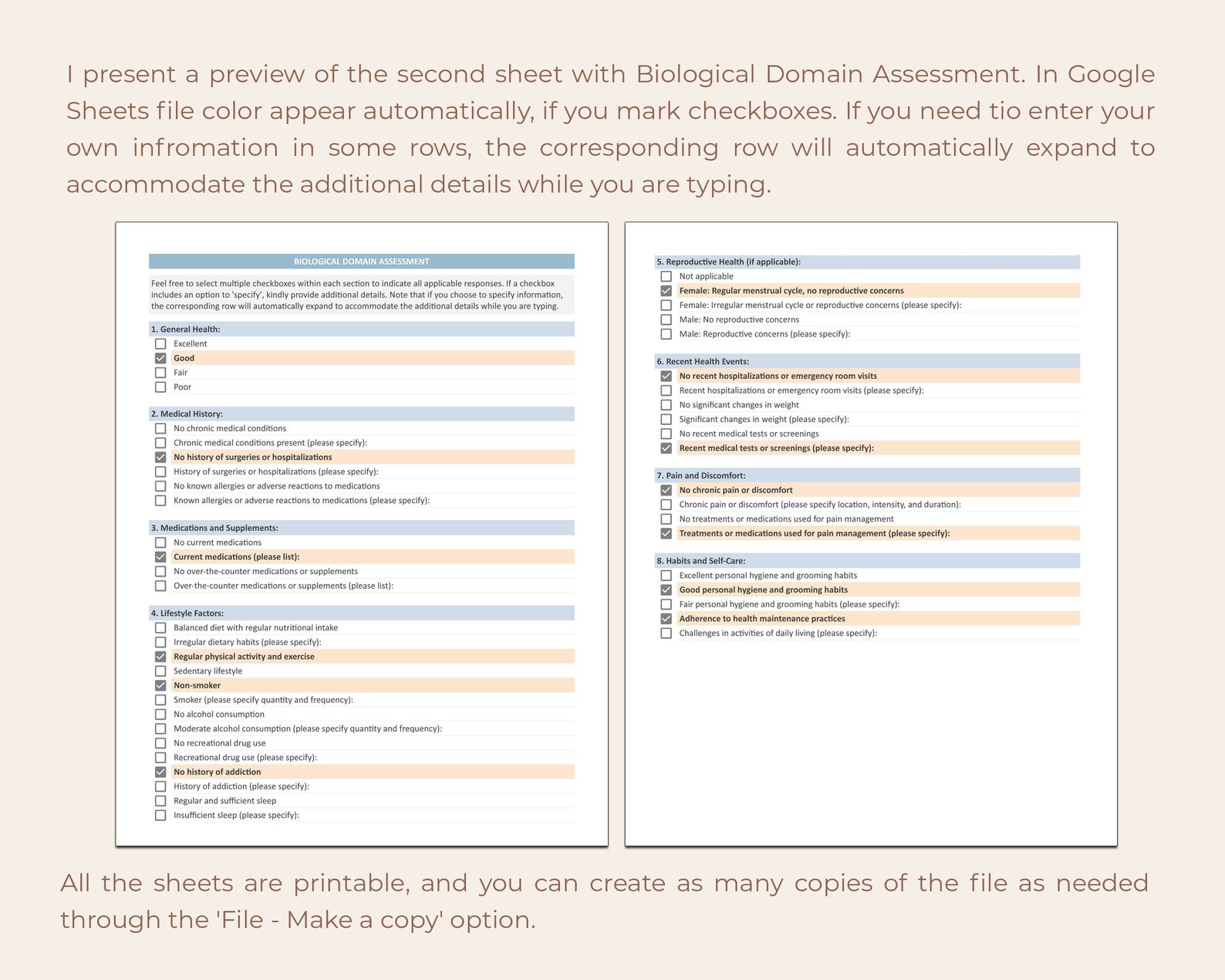 Biopsychosocial Assessment Spreadsheet Therapist Intake Tool Mental ...