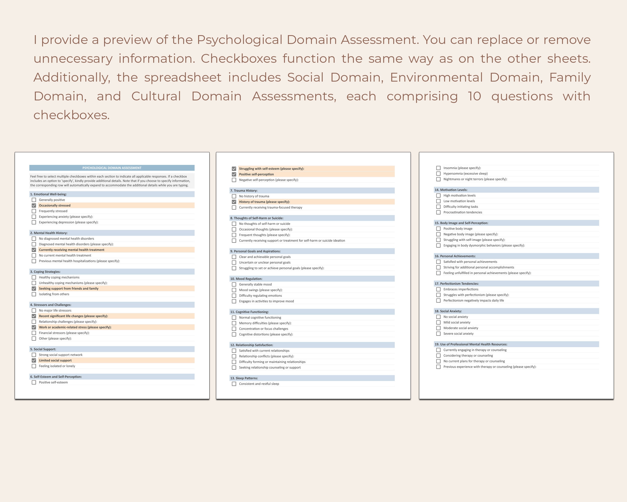 Biopsychosocial Assessment Spreadsheet, Psychotherapist Tool ...