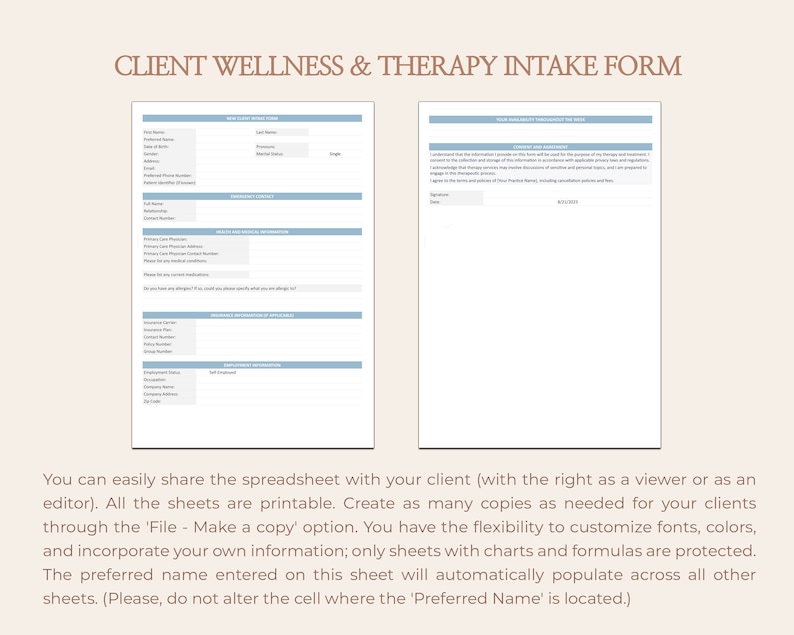 Treatment Plan Template, Therapist Spreadsheet, Goals, Interventions ...