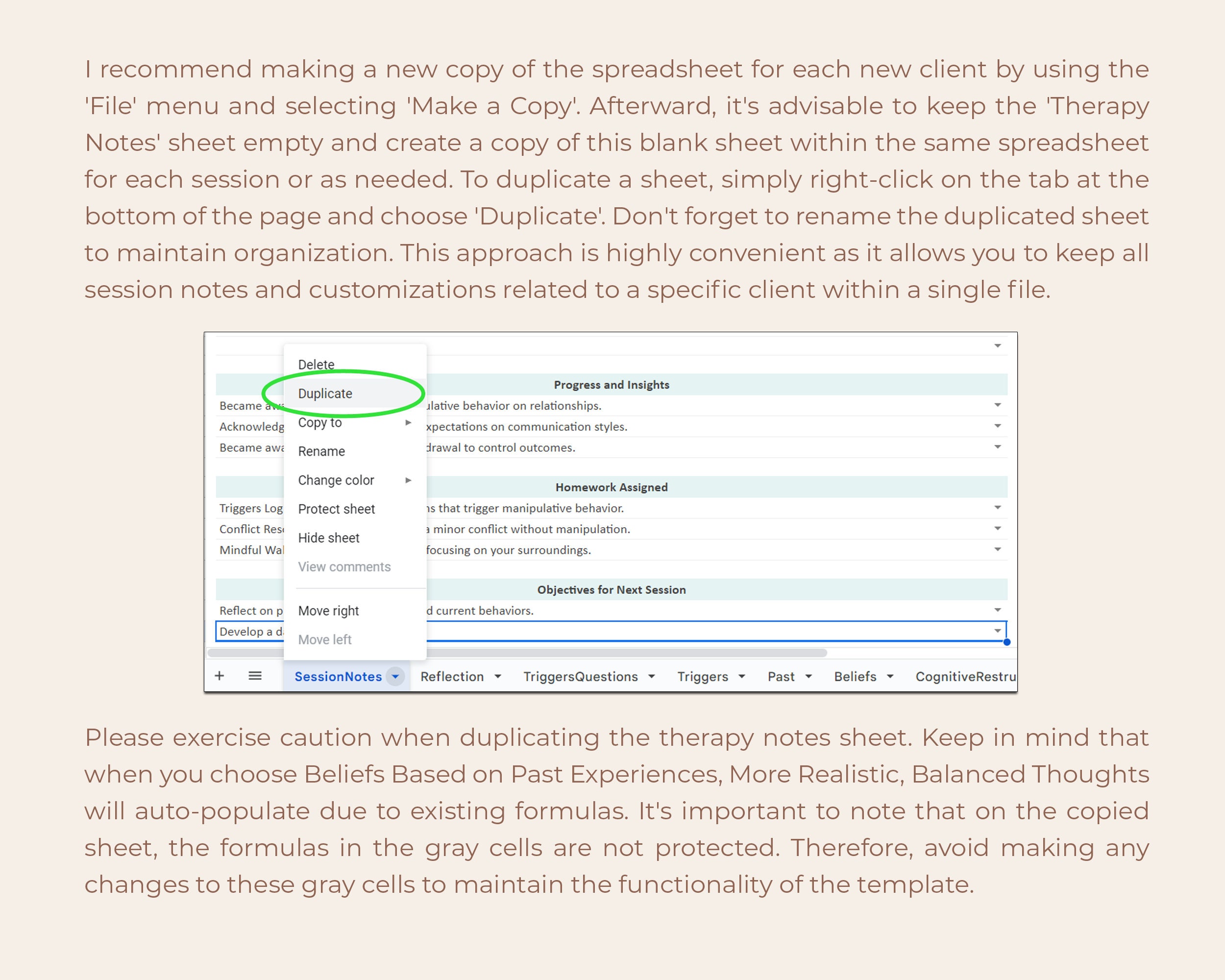 Manipulative Behavior Therapy Session Notes Template, CBT Therapy ...