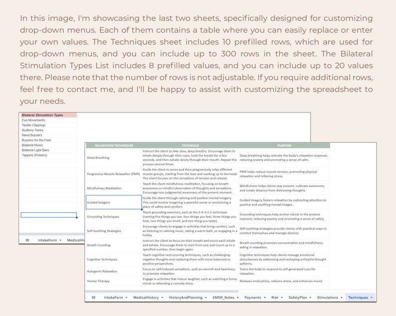 EMDR Session Notes Template, Therapy Planner Spreadsheet, EMDR Therapy ...