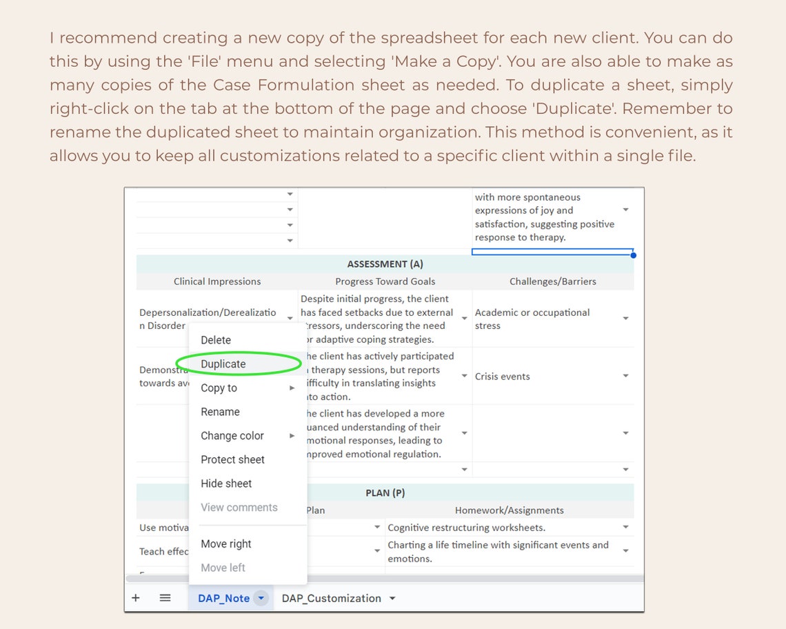 Therapy Progress Note Template, DAP Progress Notes, Therapist Template ...