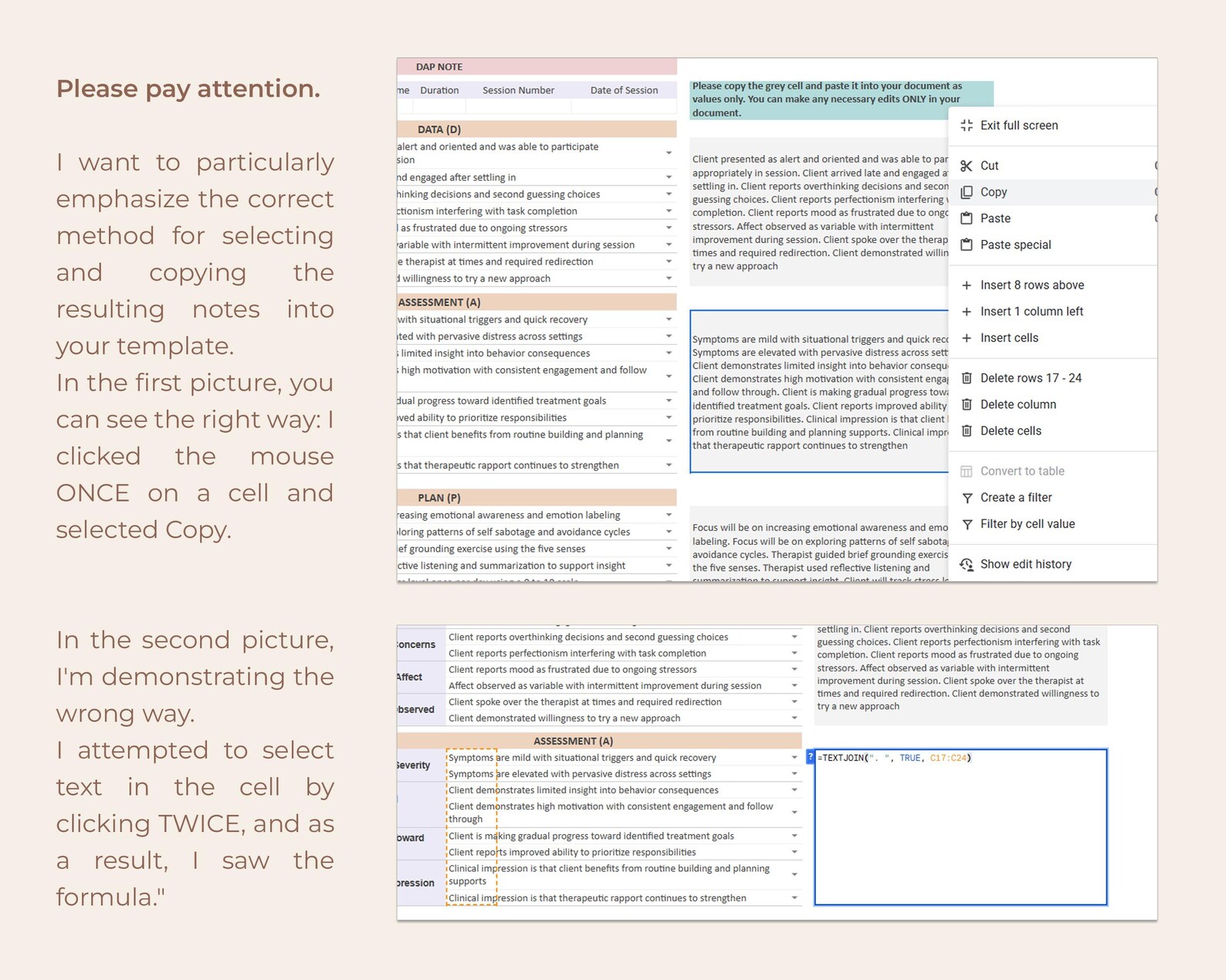 DAP Notes Generator Professional Progress Notes Template Insurance ...