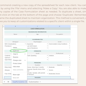 Case Formulation, Therapist Templates, Therapist, Psychology Therapy ...