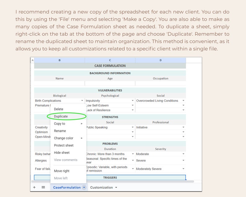 Case Formulation Template, Template for Therapist, Psychology Therapy ...