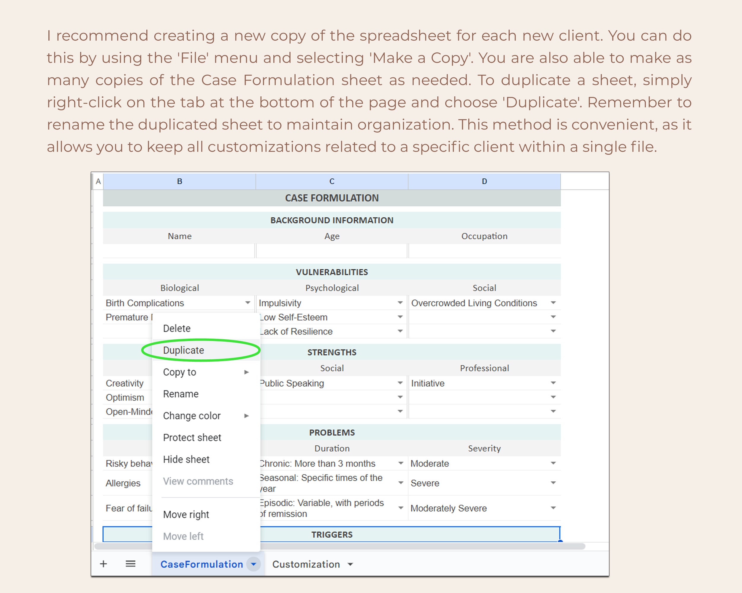 Case Formulation Template, Template for Therapist, Psychology Therapy ...