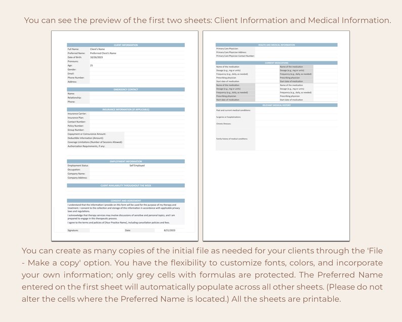 EMDR Session Notes Template, Therapy Planner Spreadsheet, EMDR Therapy ...