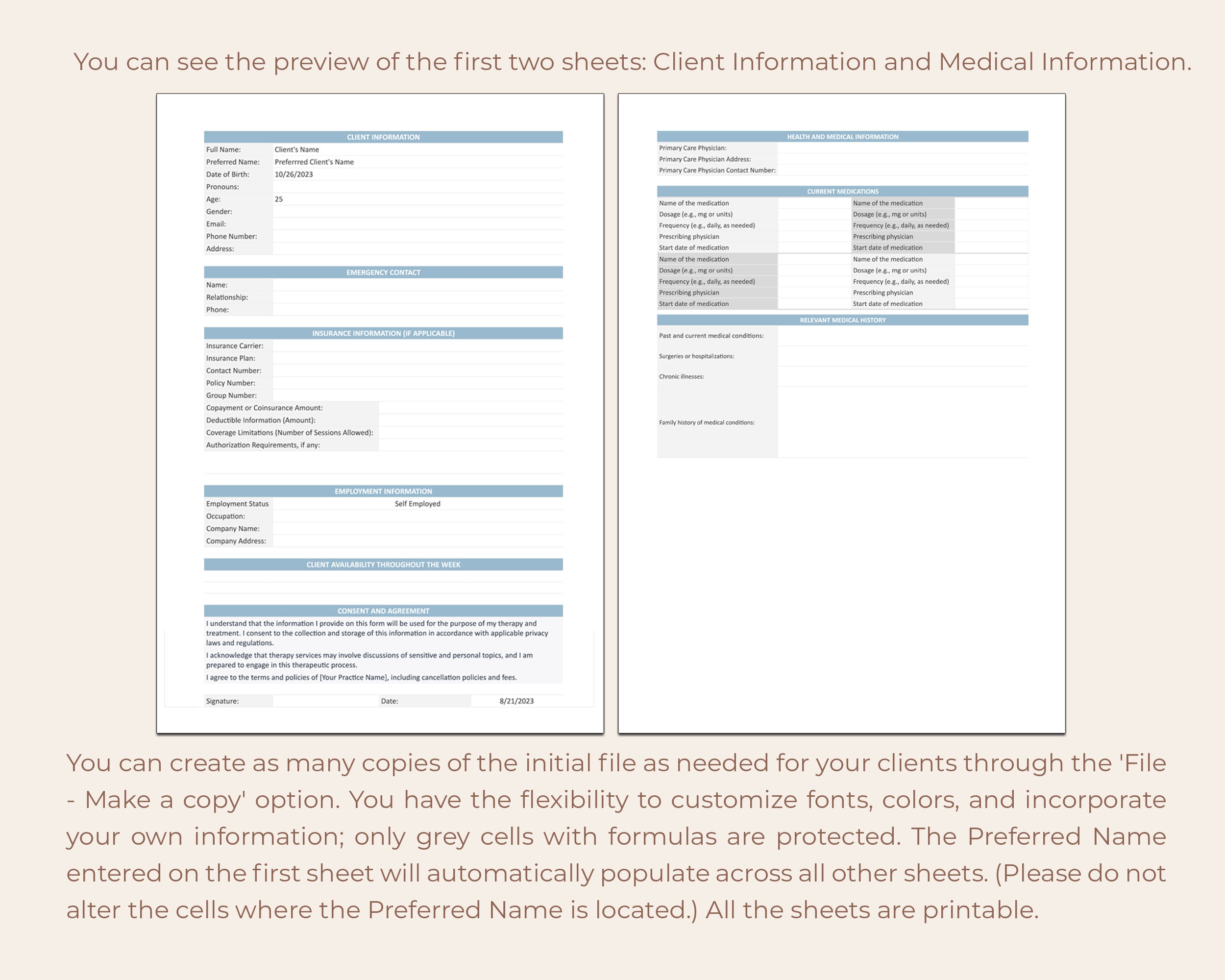 EMDR Session Notes Template, Therapy Planner Spreadsheet, EMDR Therapy ...