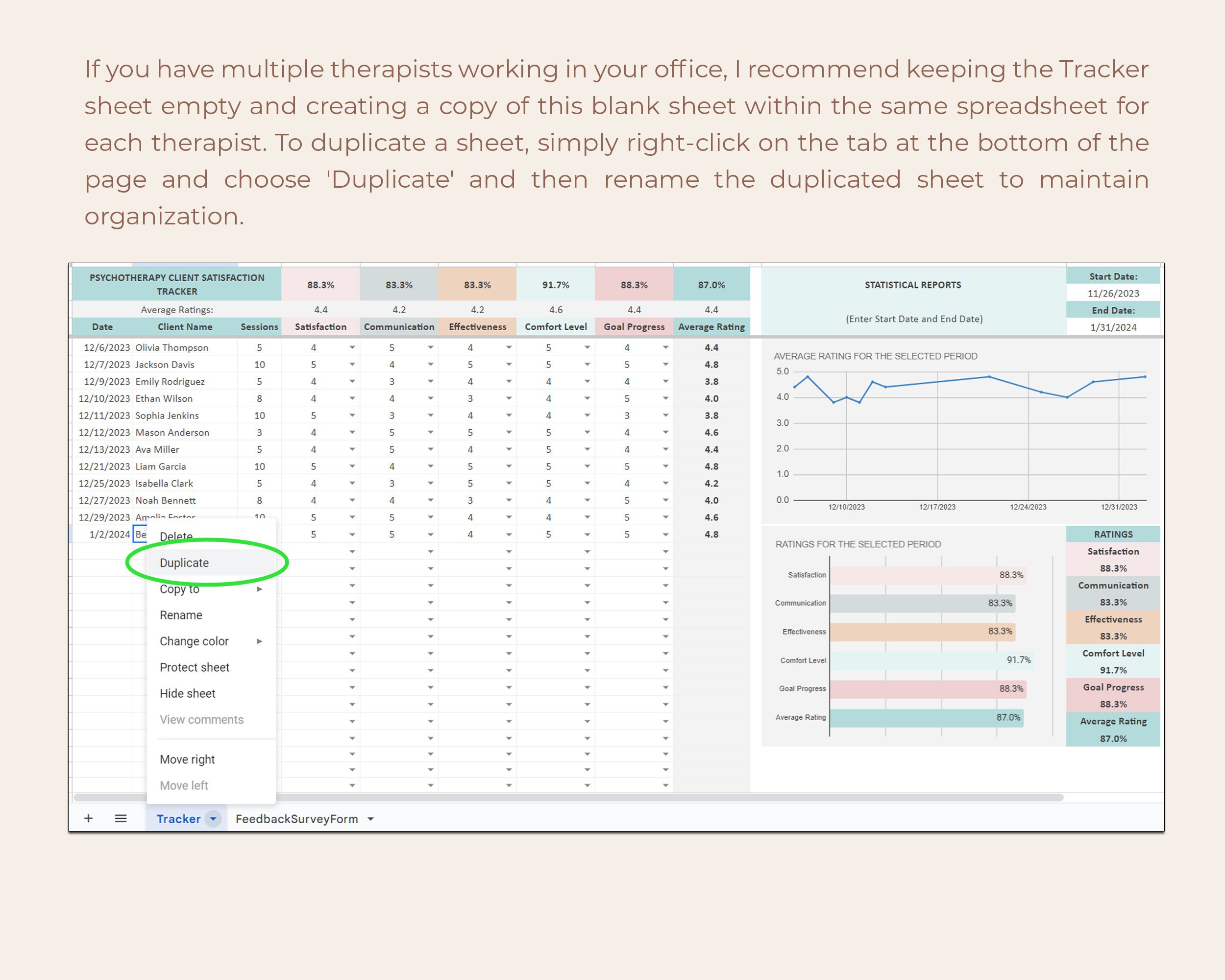 Therapist Feedback Spreadsheet, Therapy Client Satisfaction Tracker ...