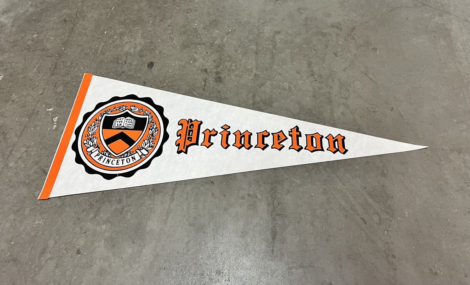 Princeton University Flag