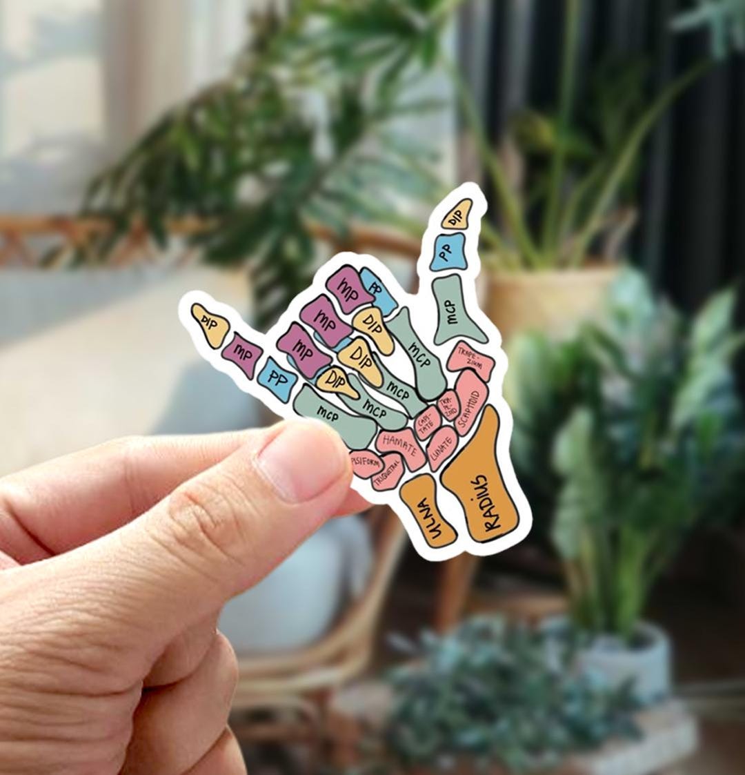 Hand Anatomy Shaka Sign Stickers - Etsy