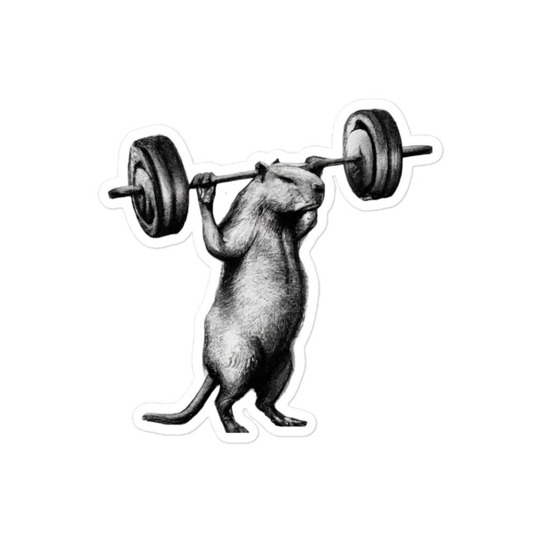 Gym Bro Capybara Decal, Capybara Sticker, Deadlift Capybara Gift ...
