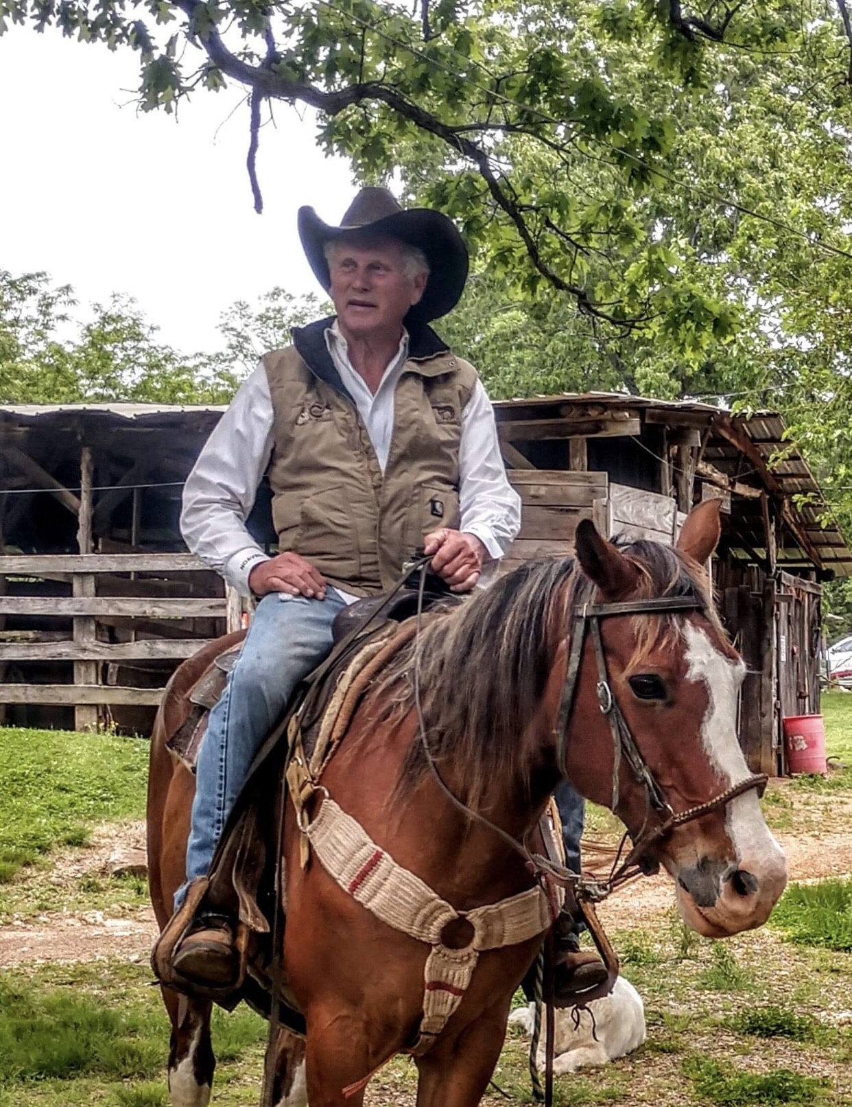 Rick Wheat Noavel Headstall - Etsy