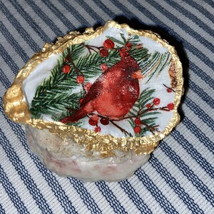 Cardinal Oyster Shell - Etsy
