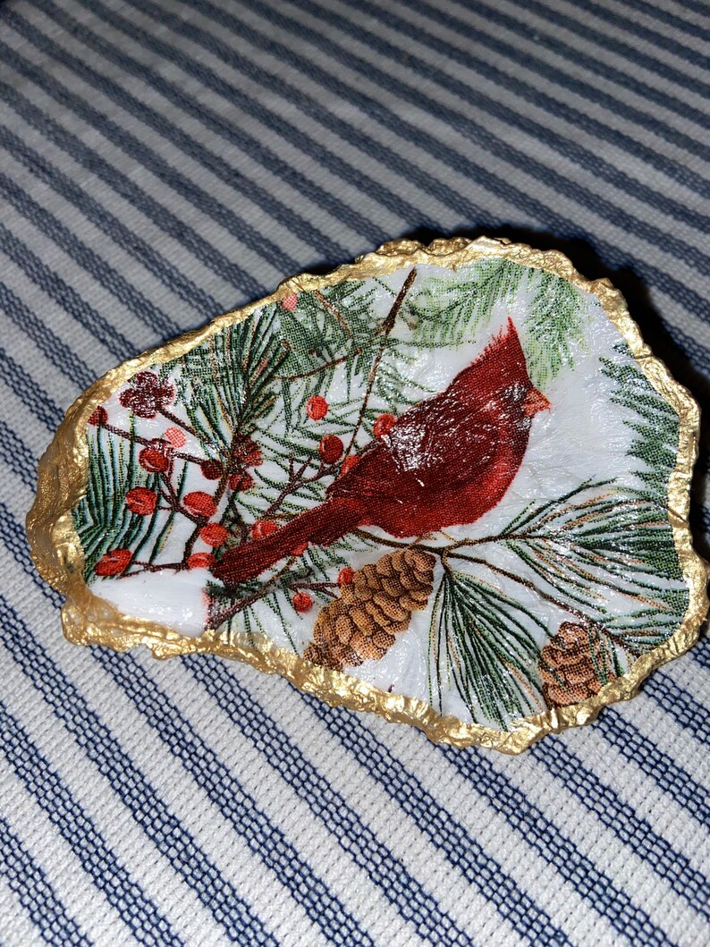 Cardinal Oyster Shell - Etsy