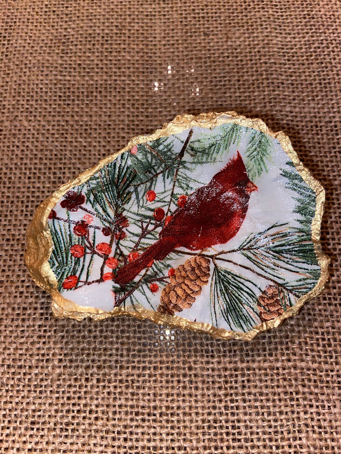 Cardinal Oyster Shell - Etsy