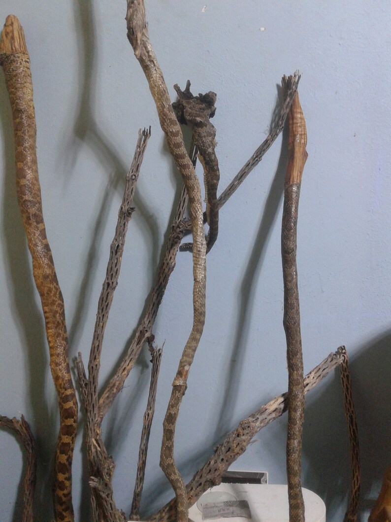 Snake Sticks for Hiking and Walking-aid. Rattlesnake-skin, Juniper Wood ...
