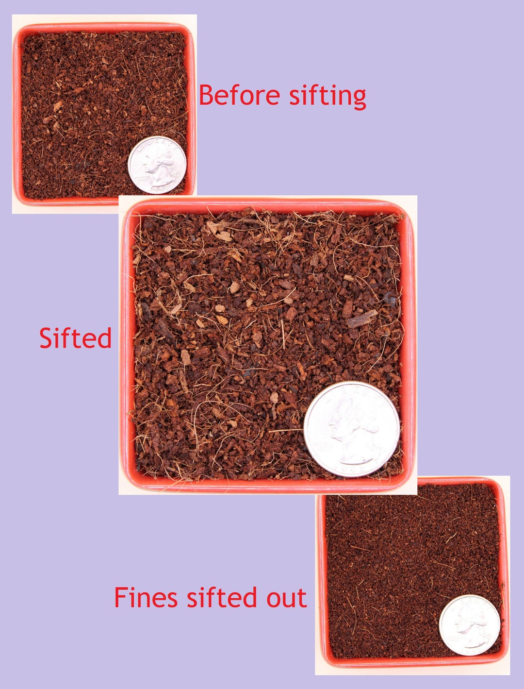 Large Sifted Coco Coir, 1 Gallon Buffered Potting Soil, Indoor Outdoor ...