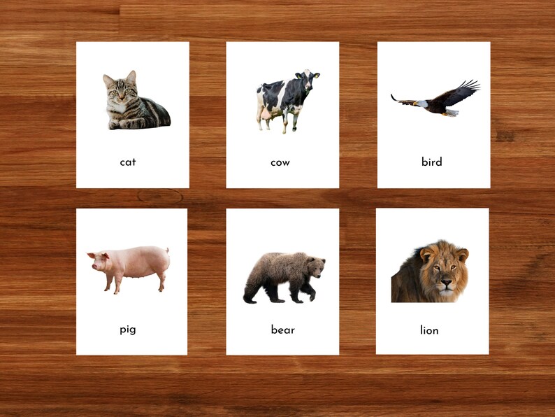 16 Animal Flash Cards, Montessori Learning, Pre-school and Toddler ...
