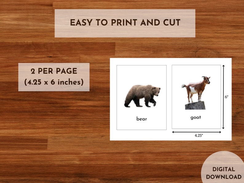 16 Animal Flash Cards, Montessori Learning, Pre-school and Toddler ...