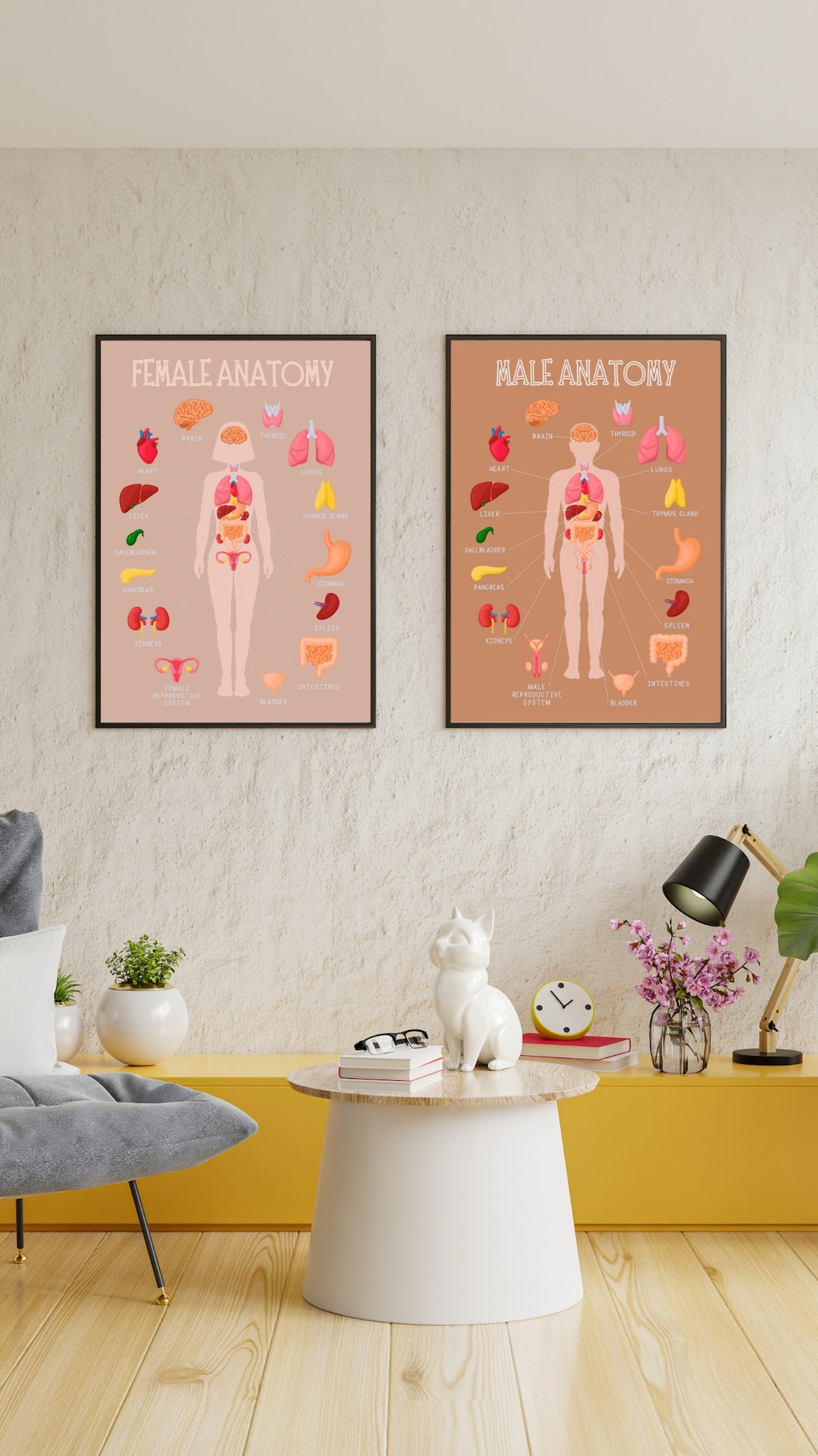 Digital Poster of Female Anatomy to Print Medical Wall Decoration - Etsy