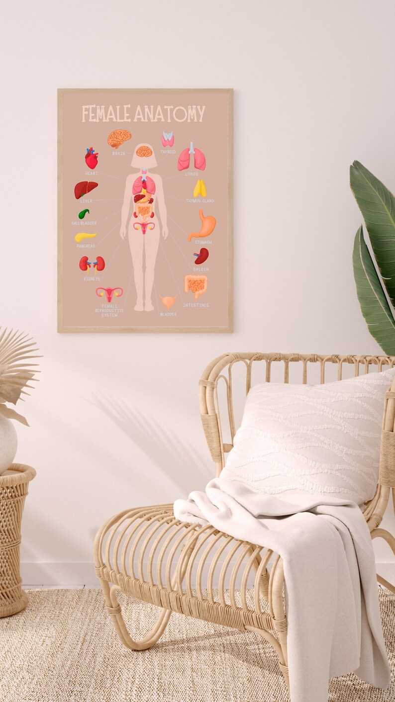 Digital Poster of Female Anatomy to Print Medical Wall Decoration - Etsy