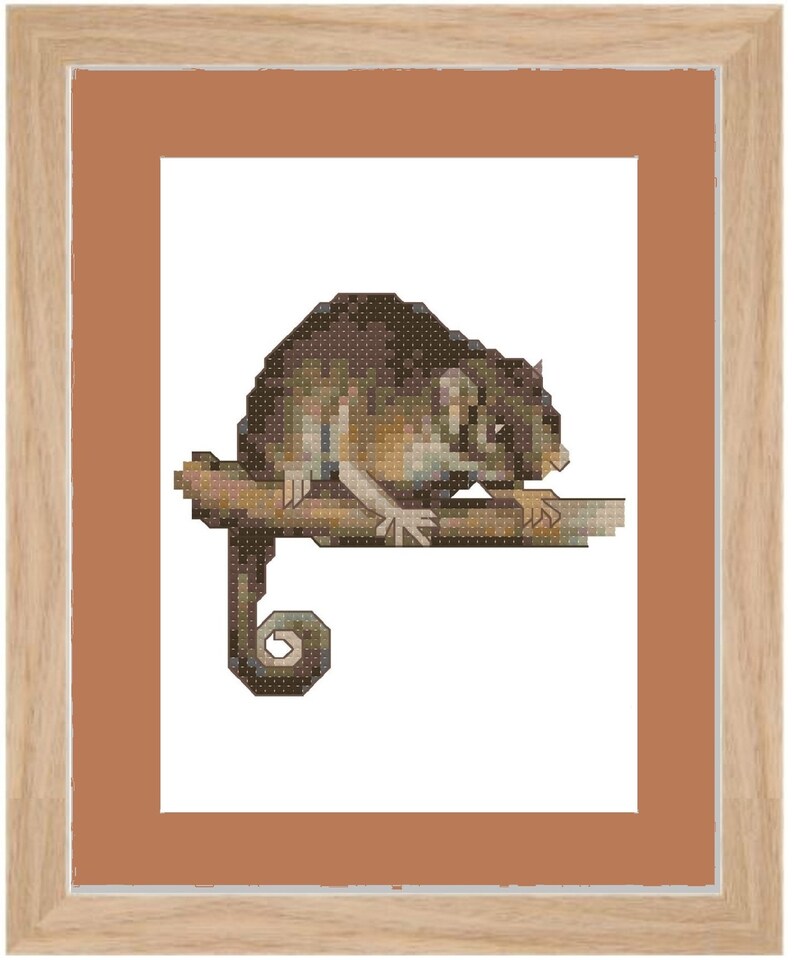 Ringtail Possum 2 Cross Stitch Pattern - Etsy Australia