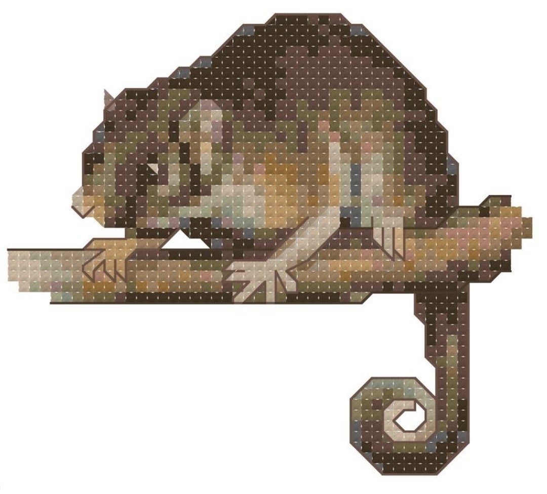 Ringtail Possum 1 Cross Stitch Pattern - Etsy