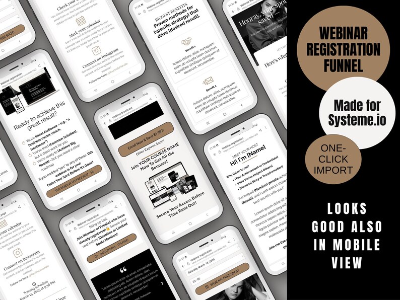 Systeme Io Webinar Funnel | Webinar Registration Funnel | Webinar Opt-in | Systeme Funnel ...
