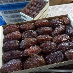 11 LB FRESH Medjool Dates Gift Box/ Premium Thank You Gift / Birthday ...