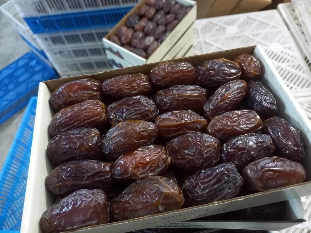 11 LB FRESH Medjool Dates Gift Box/ Premium Thank You Gift / Birthday ...
