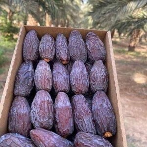 11 LB FRESH Medjool Dates Gift Box/ Premium Thank You Gift / Birthday ...