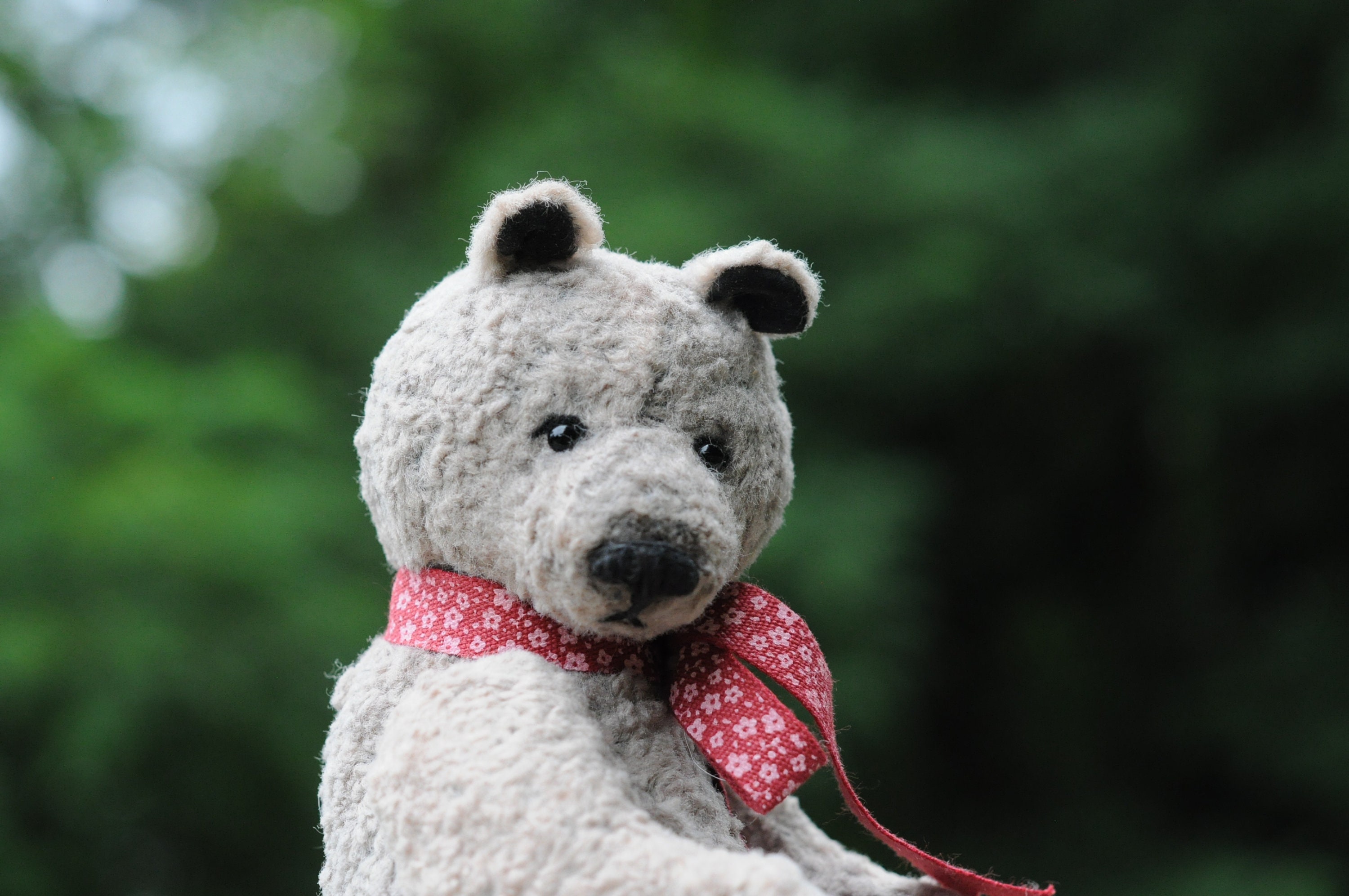 Bear Tomas, Classic Bear, Teddy Bear - Etsy