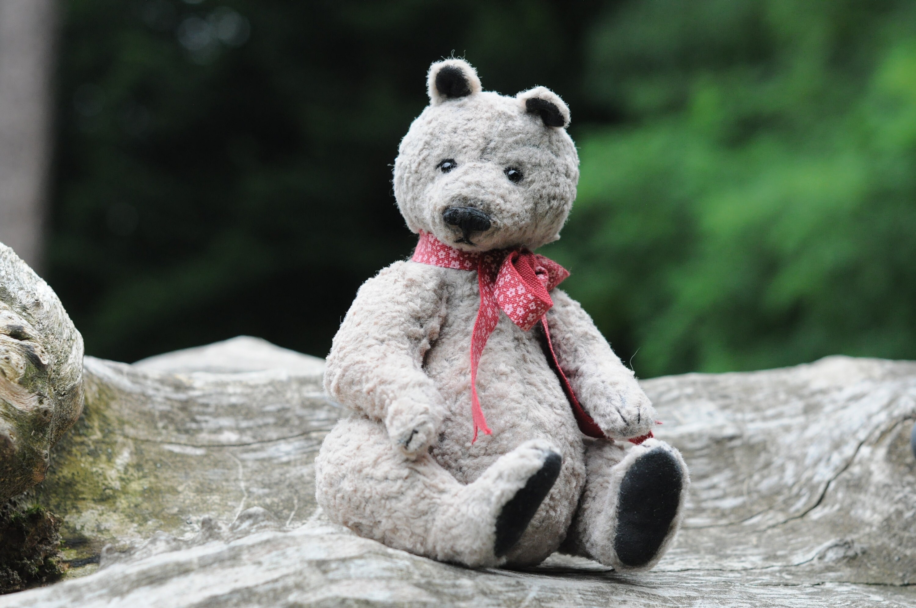 Bear Tomas, Classic Bear, Teddy Bear - Etsy