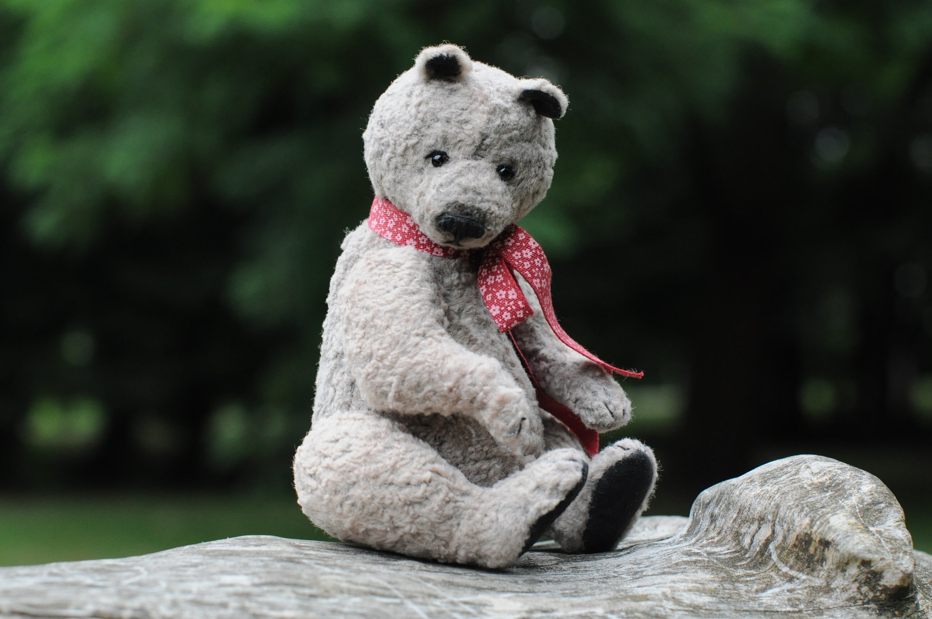 Bear Tomas, Classic Bear, Teddy Bear - Etsy