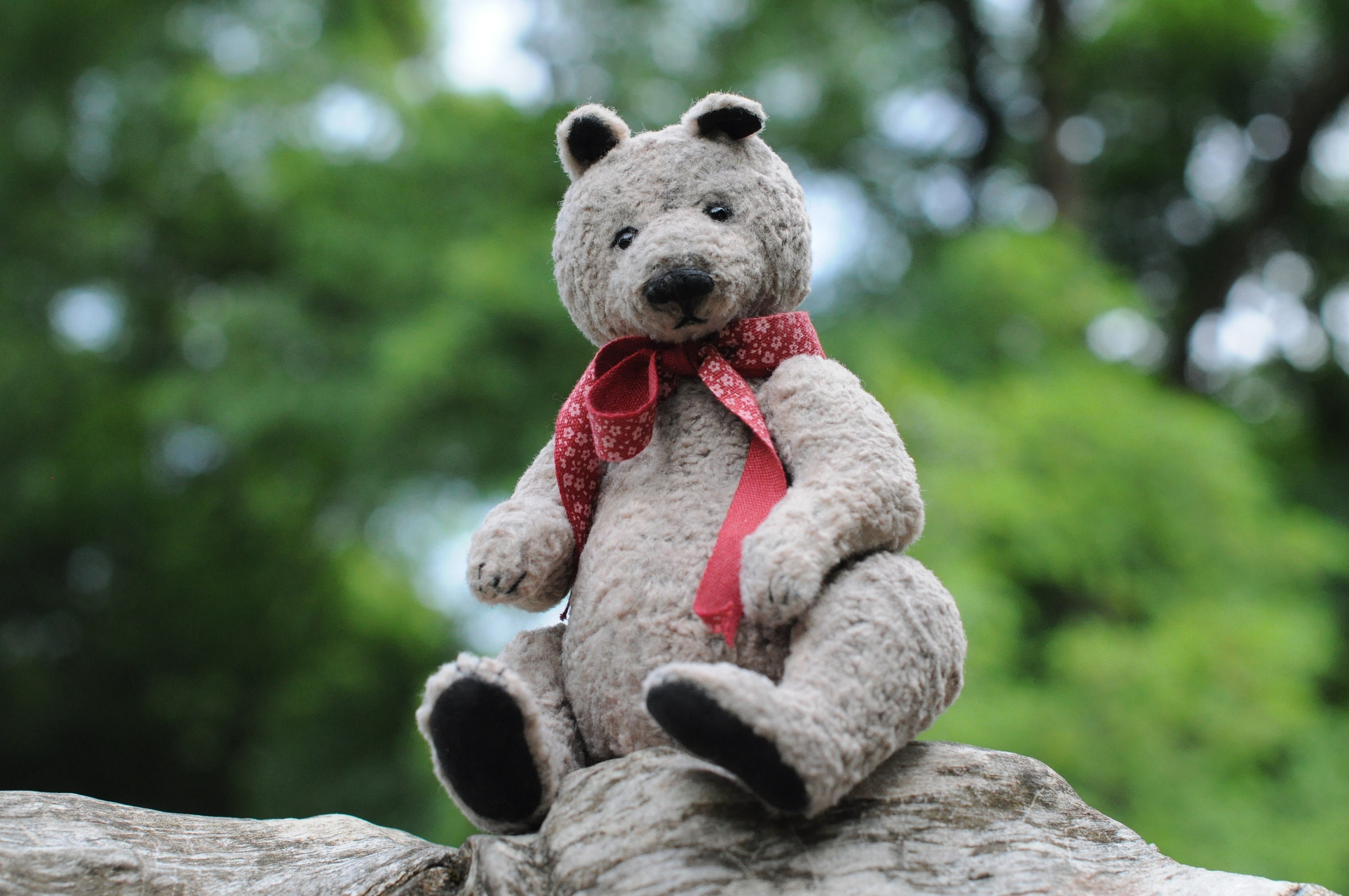 Bear Tomas Classic Bear Teddy Bear - Etsy