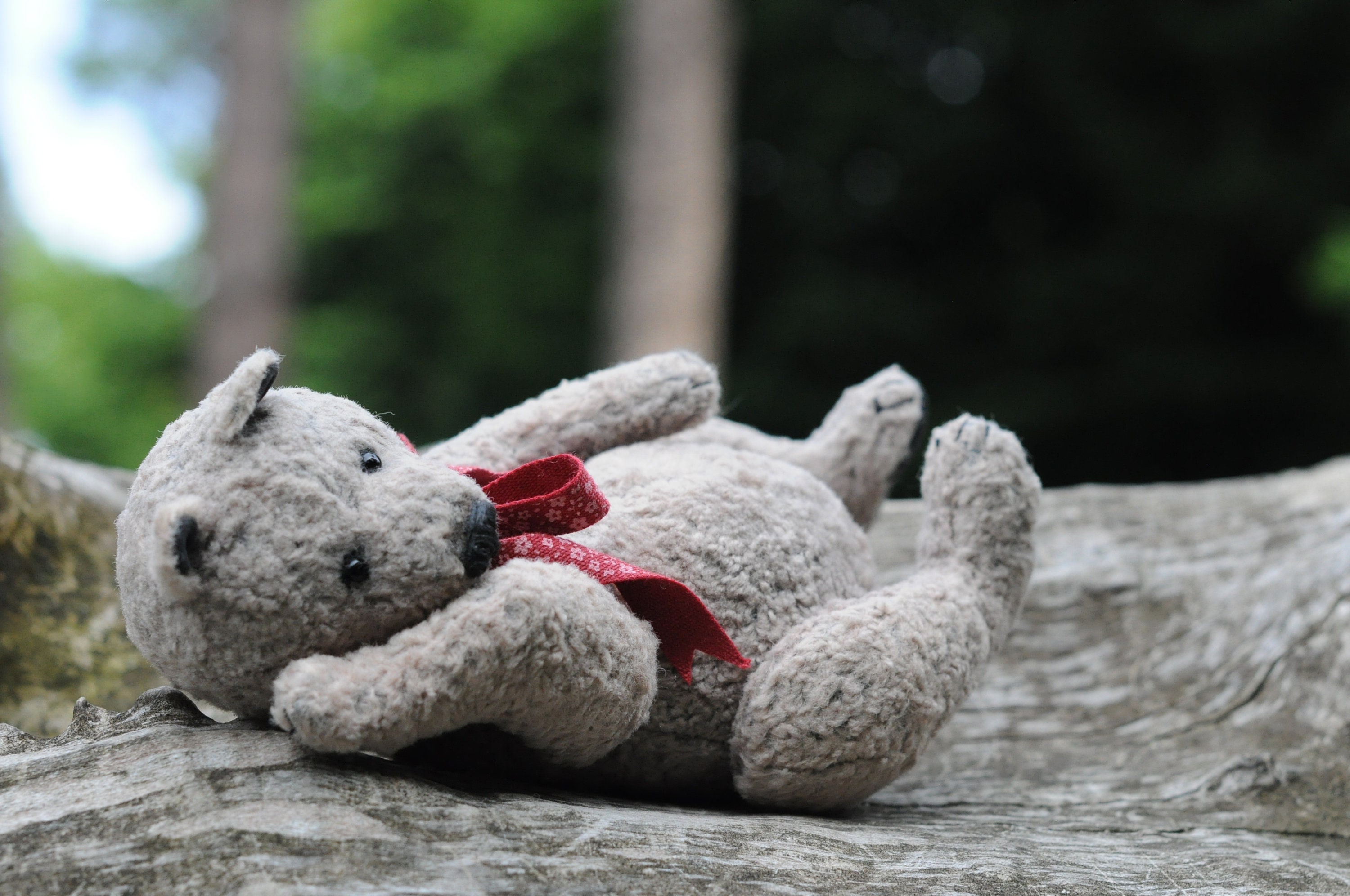 Bear Tomas, Classic Bear, Teddy Bear - Etsy