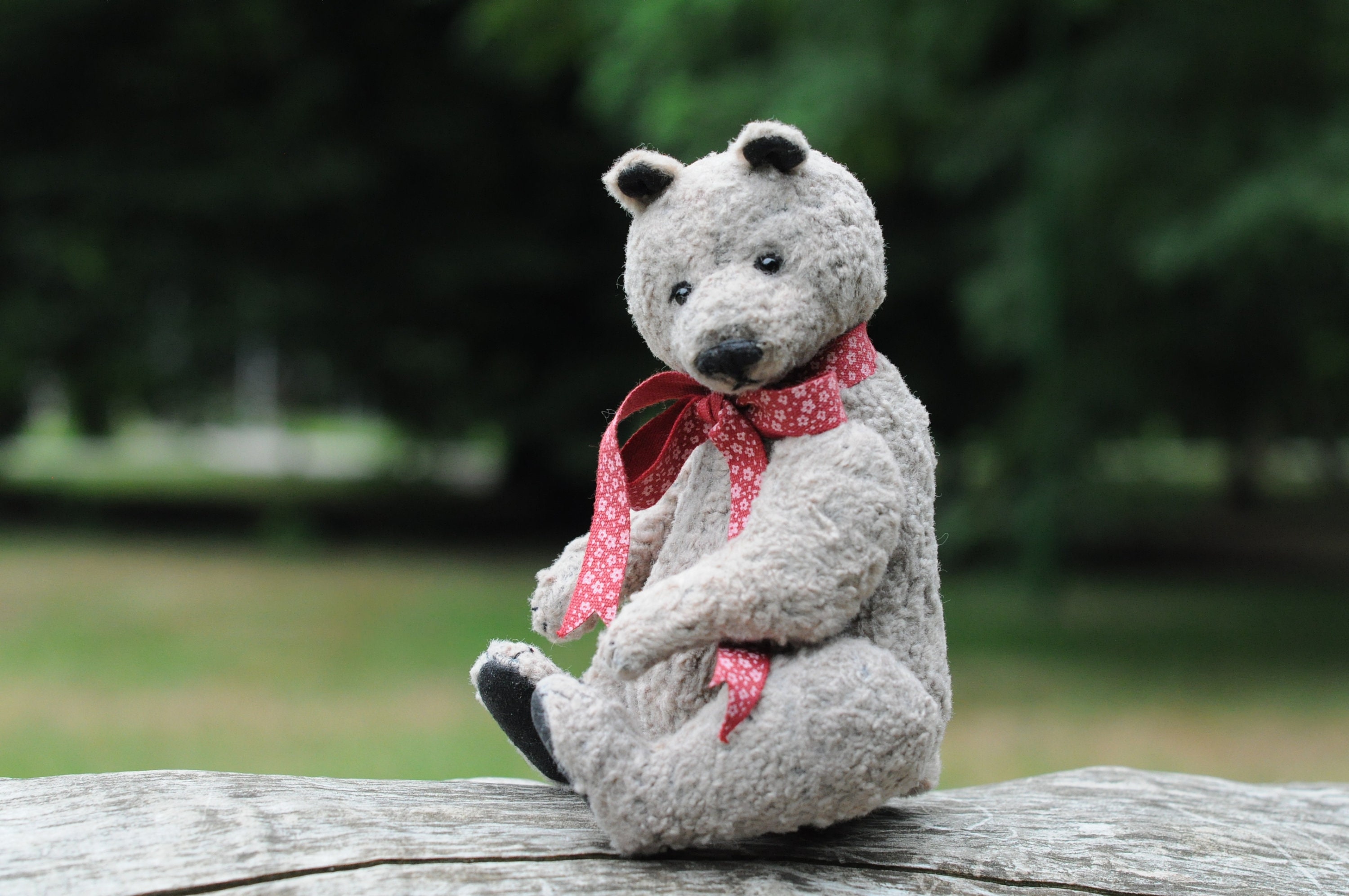 Bear Tomas Classic Bear Teddy Bear - Etsy