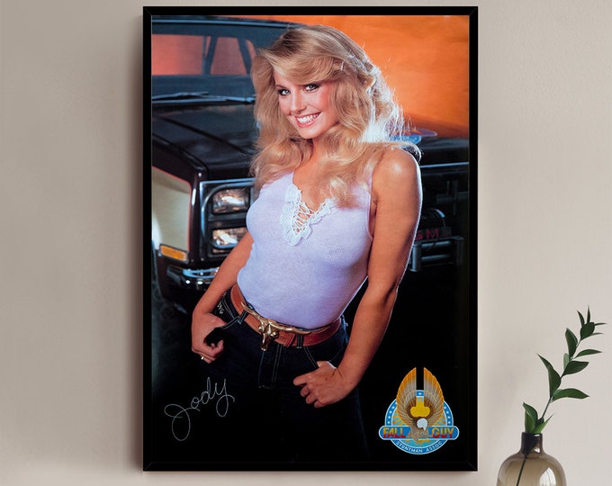 Heather Thomas 1982 Pink Bikini Poster, Fall Guy Star - Etsy