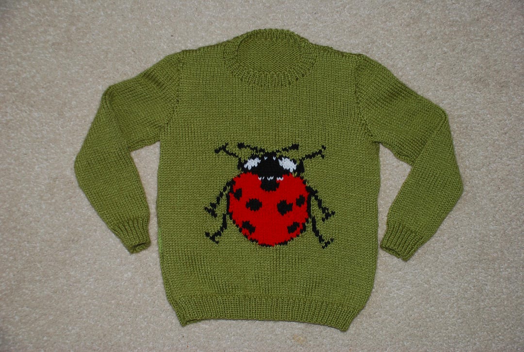 Lara the Ladybird, Children's Jumper Knitting Pattern - Etsy