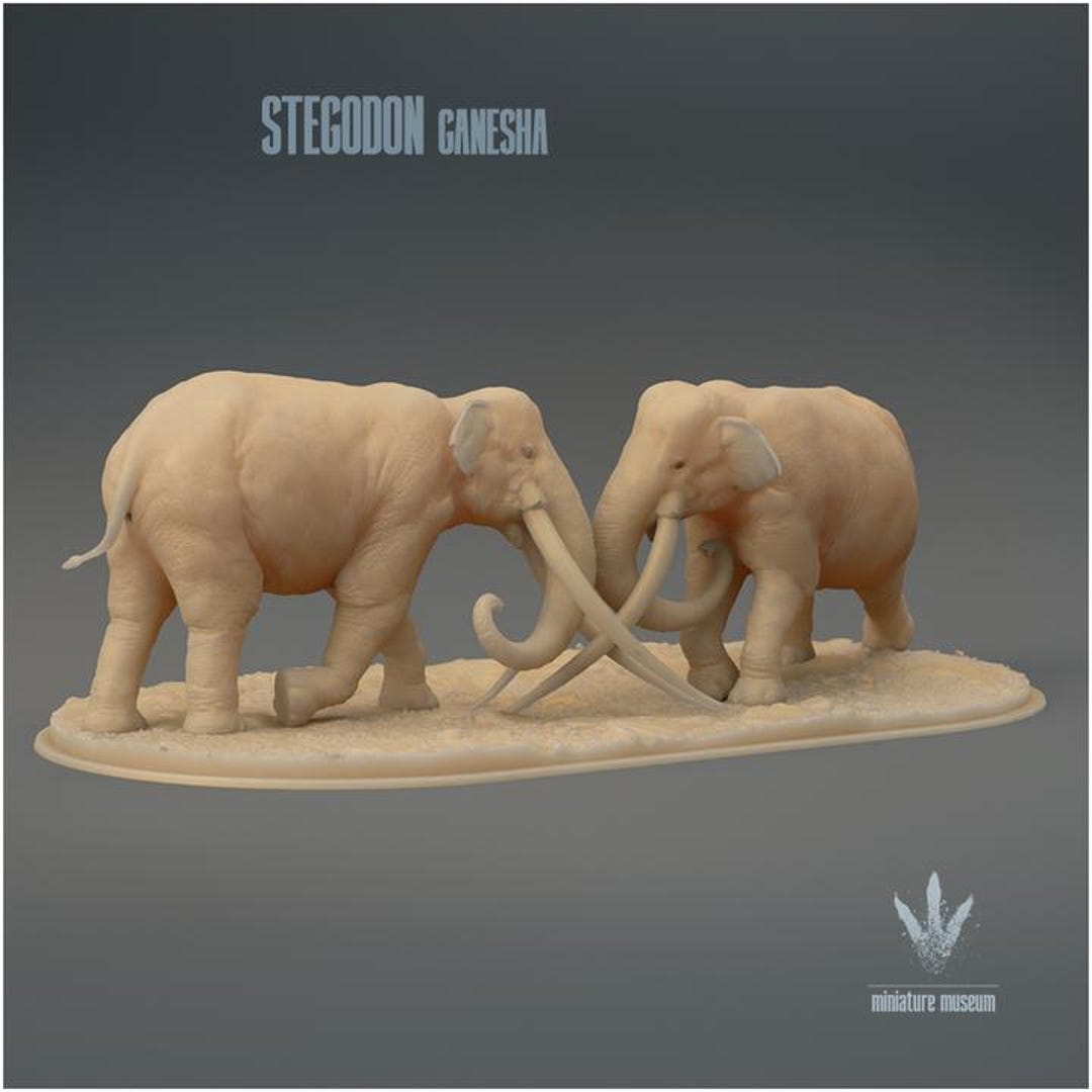 Stegodon, 3 Poses - Etsy